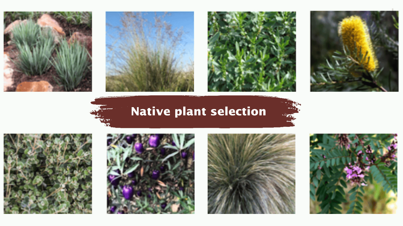 Penguin Playground Public Art Project - Central Coast Council ...