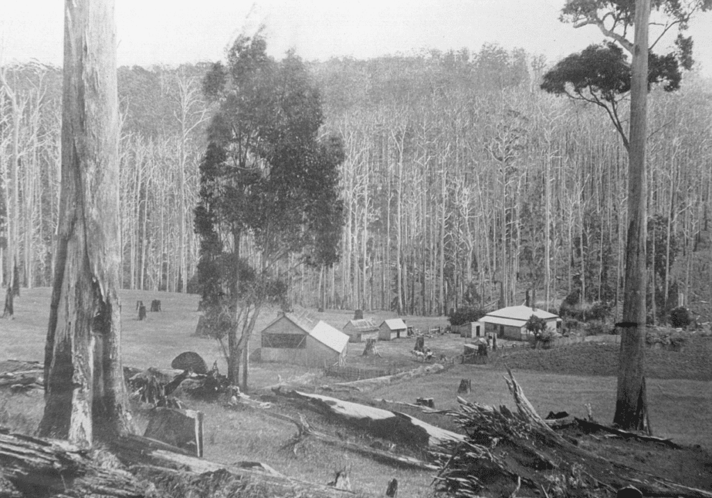 Discover the Stories Beneath Our Feet: Red Soil and Deep Clay - Central ...